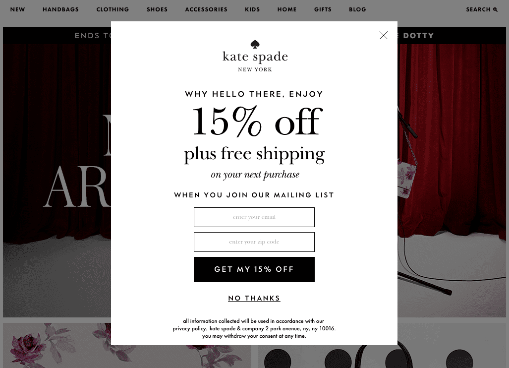 8 Examples Of Effective Popups For E commerce Fashion Stores